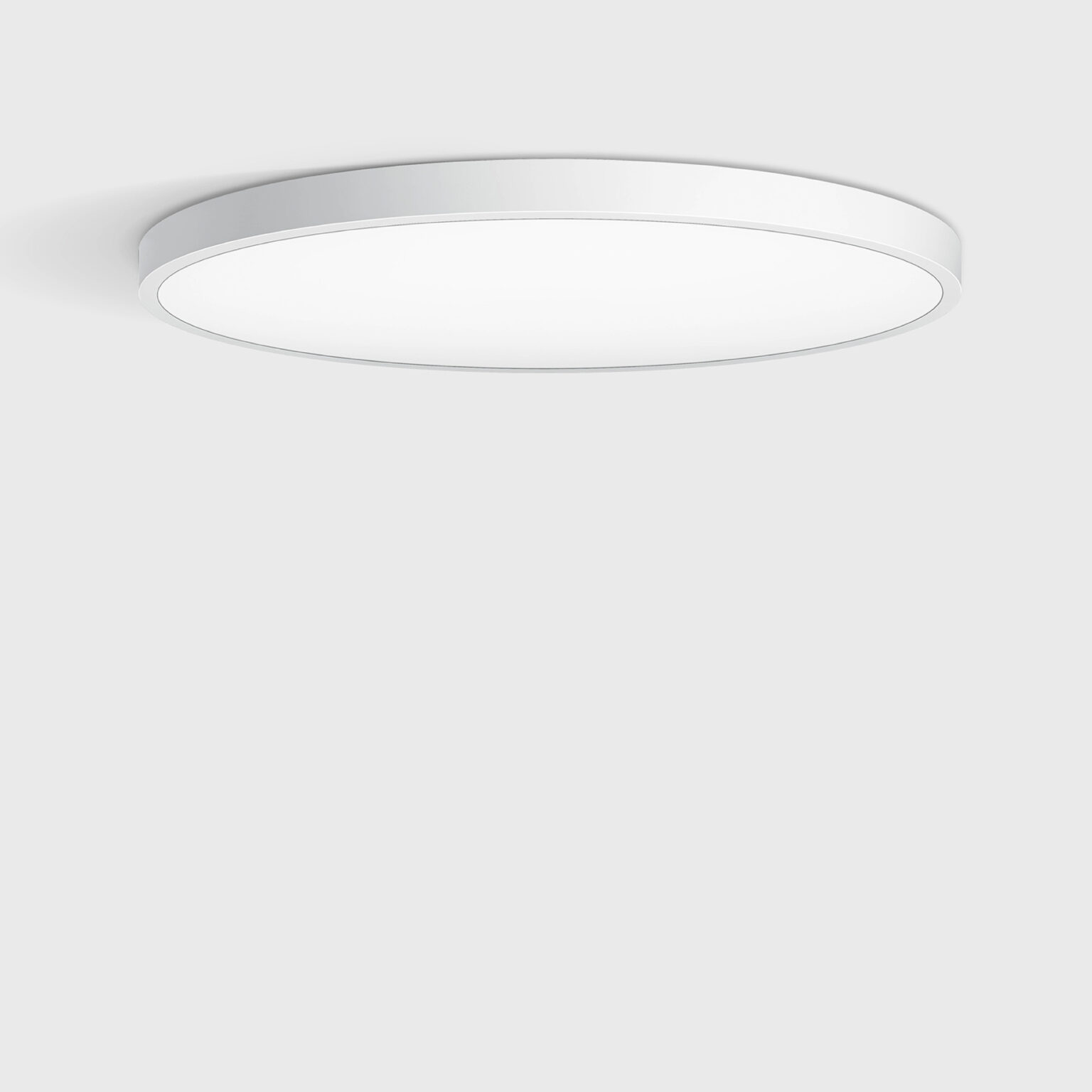 23368_01 - Moth Light