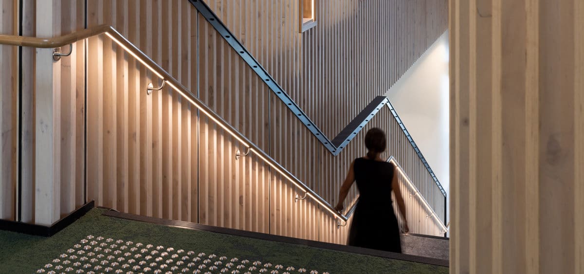 Moth Light is a lighting design and supply specialist.